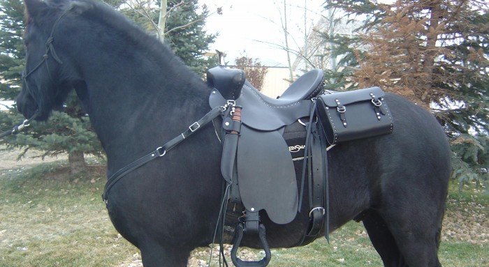 So comfortable on my Friesian, Raphe! | Trail Saddles by Steele